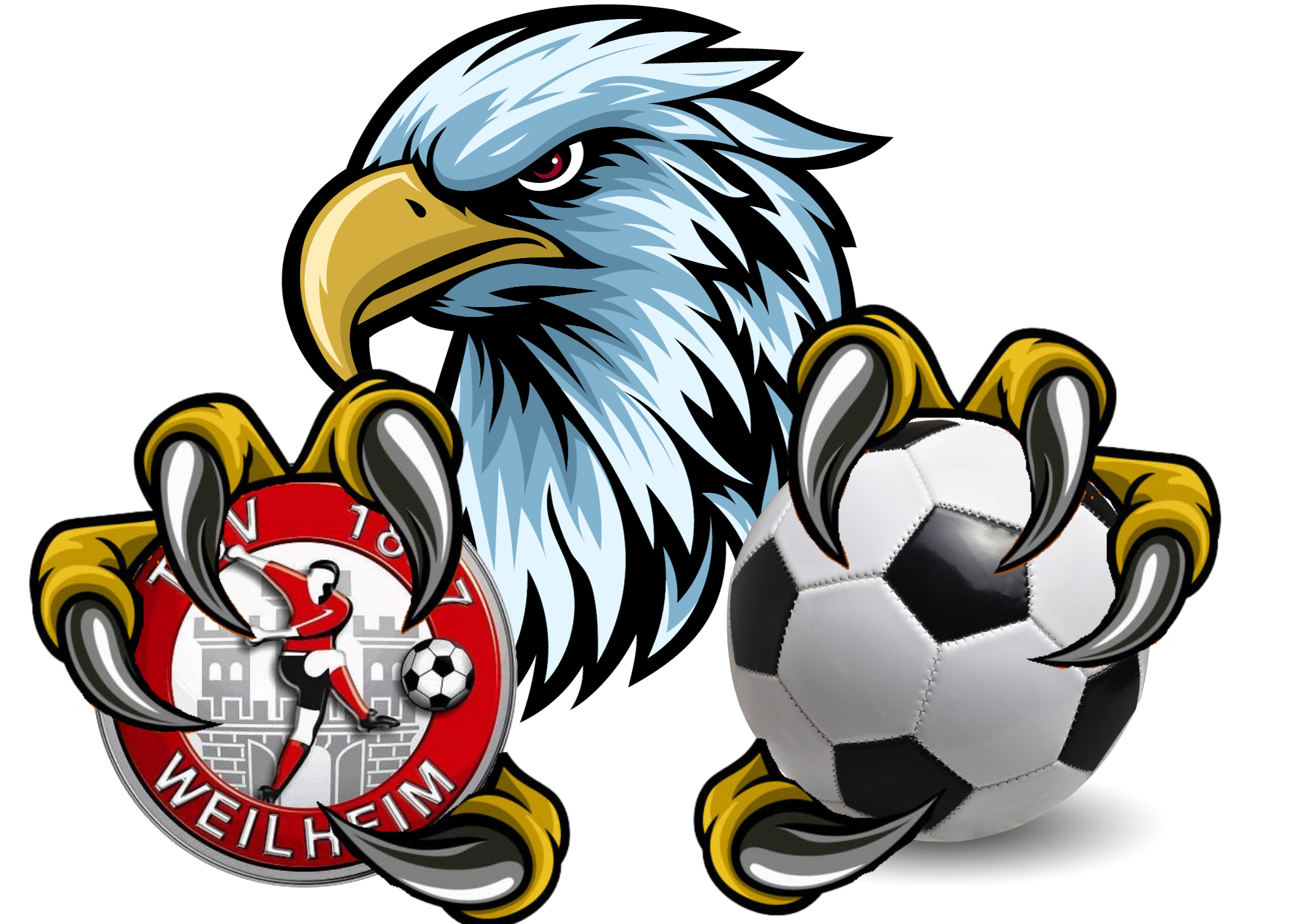 TSV 1847 Weilheim Fußball - Home & News & Menue
